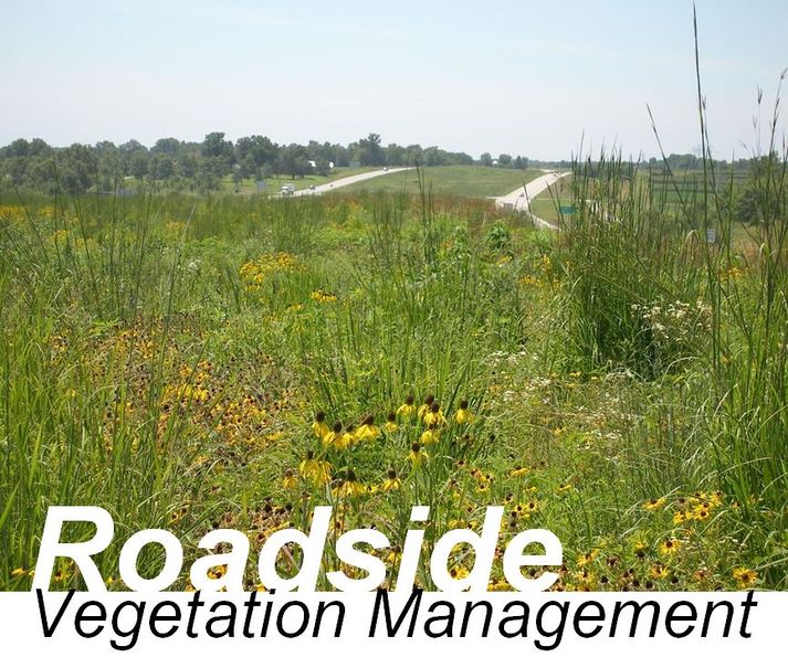 Category:822 Roadside Vegetation Management - Engineering_Policy_Guide